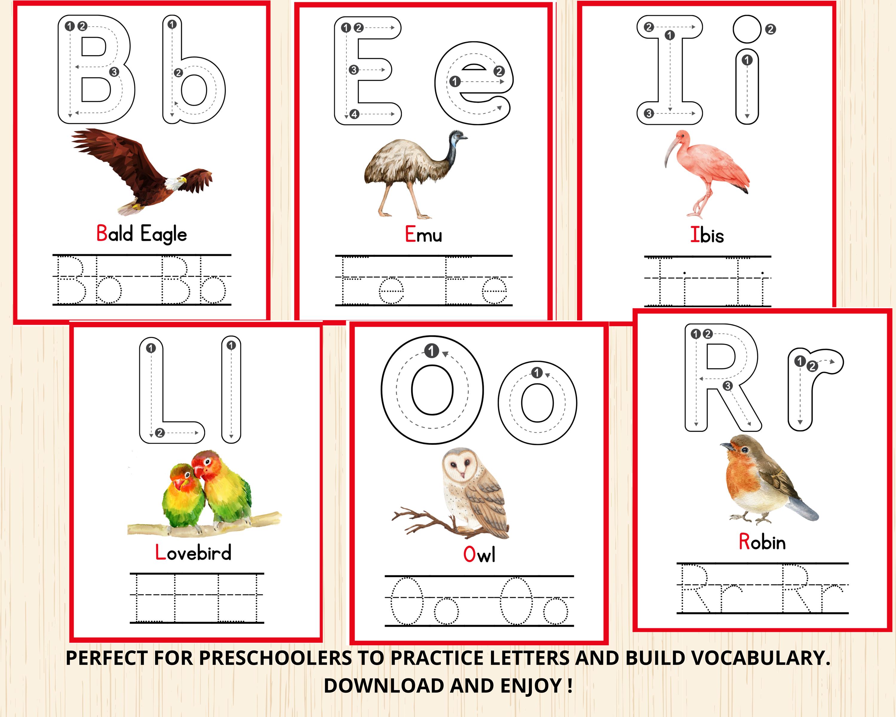 Bird Alphabet Tracing Card,birds Letter Tracing,animals Alphabet ...