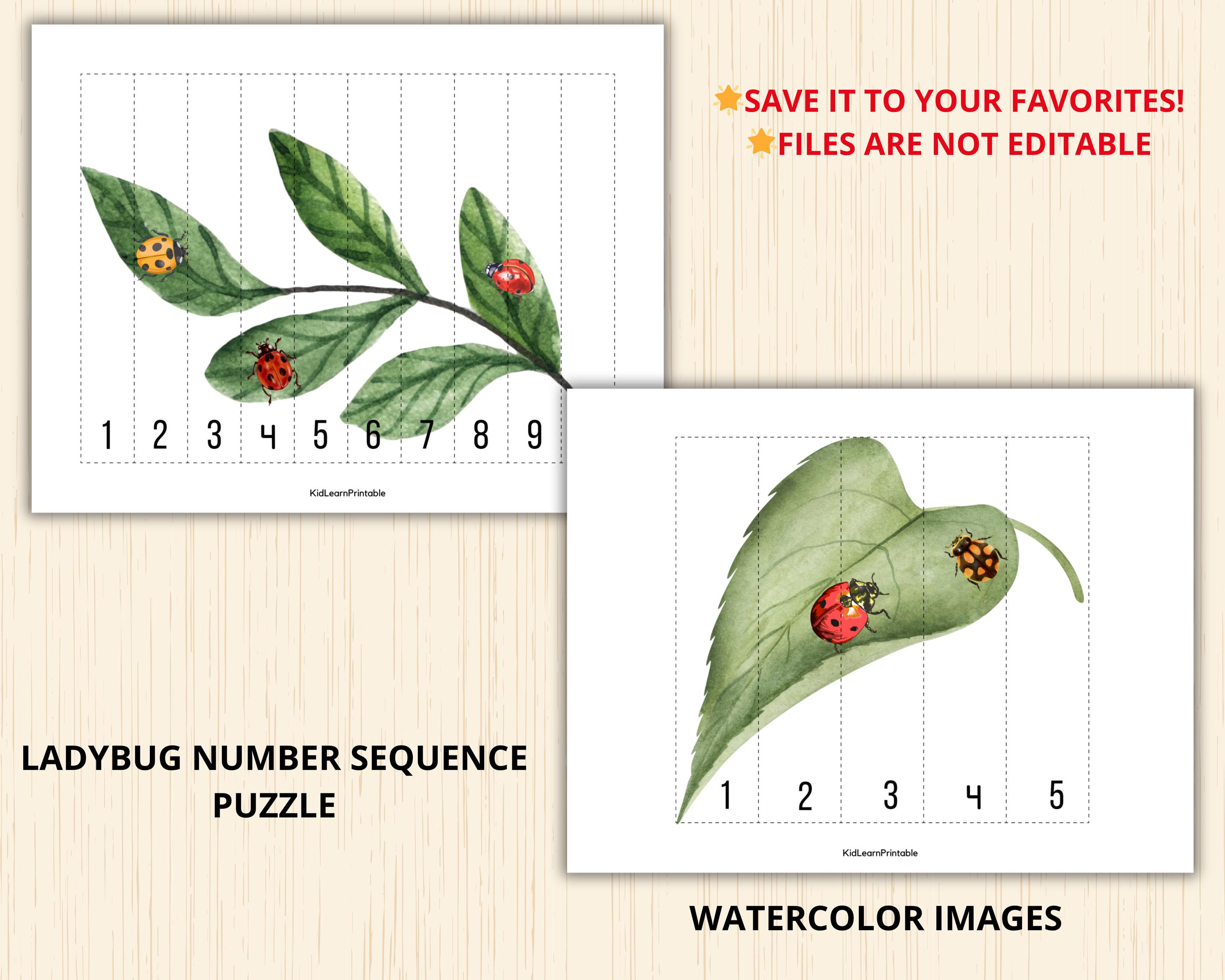 Ladybug Number Puzzle,ladybug Numbers Sequence,ladybug Unit Study ...