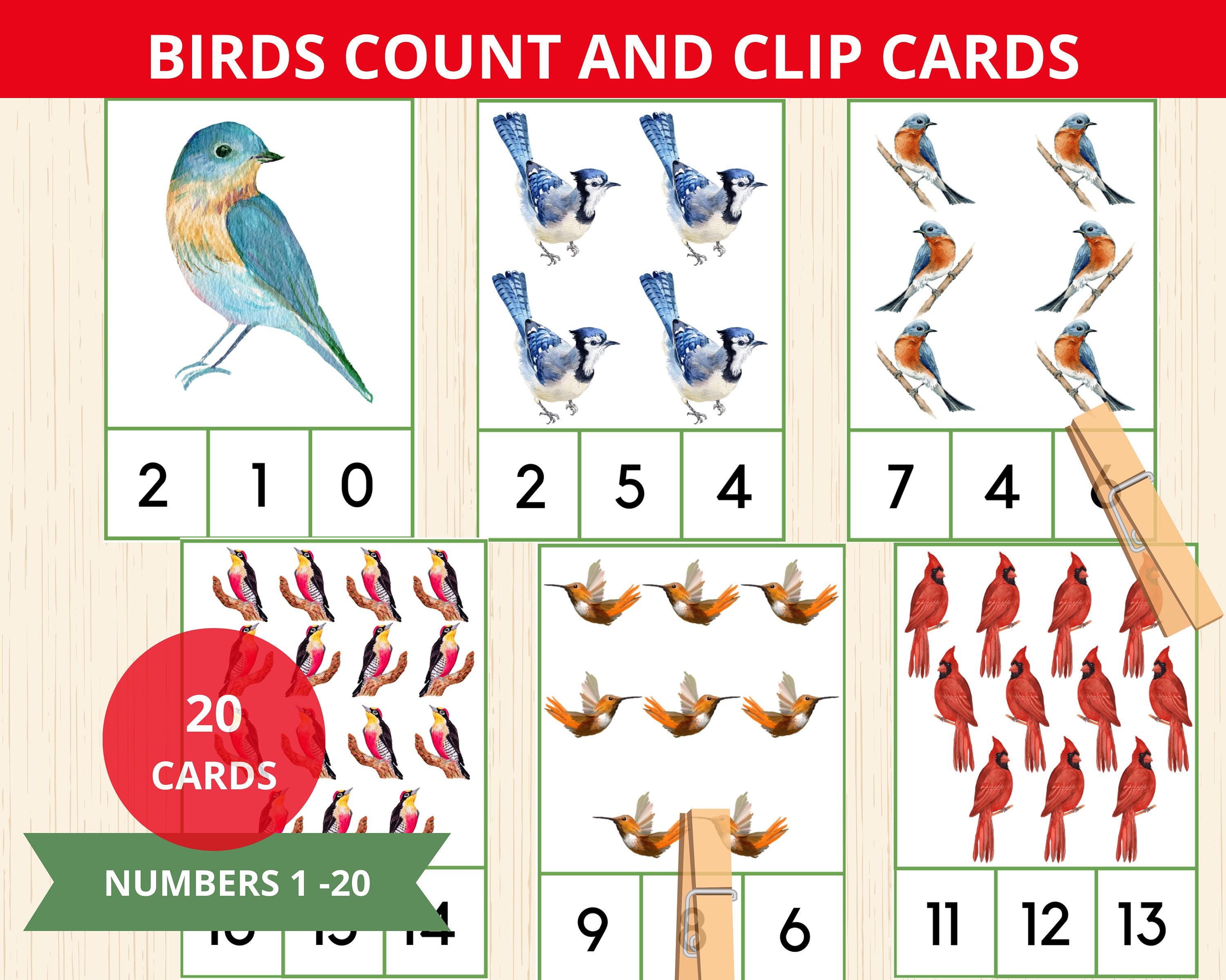 Birds Count and Clip Cards,numbers 1-20, Birds Flashcards,bird Activity ...