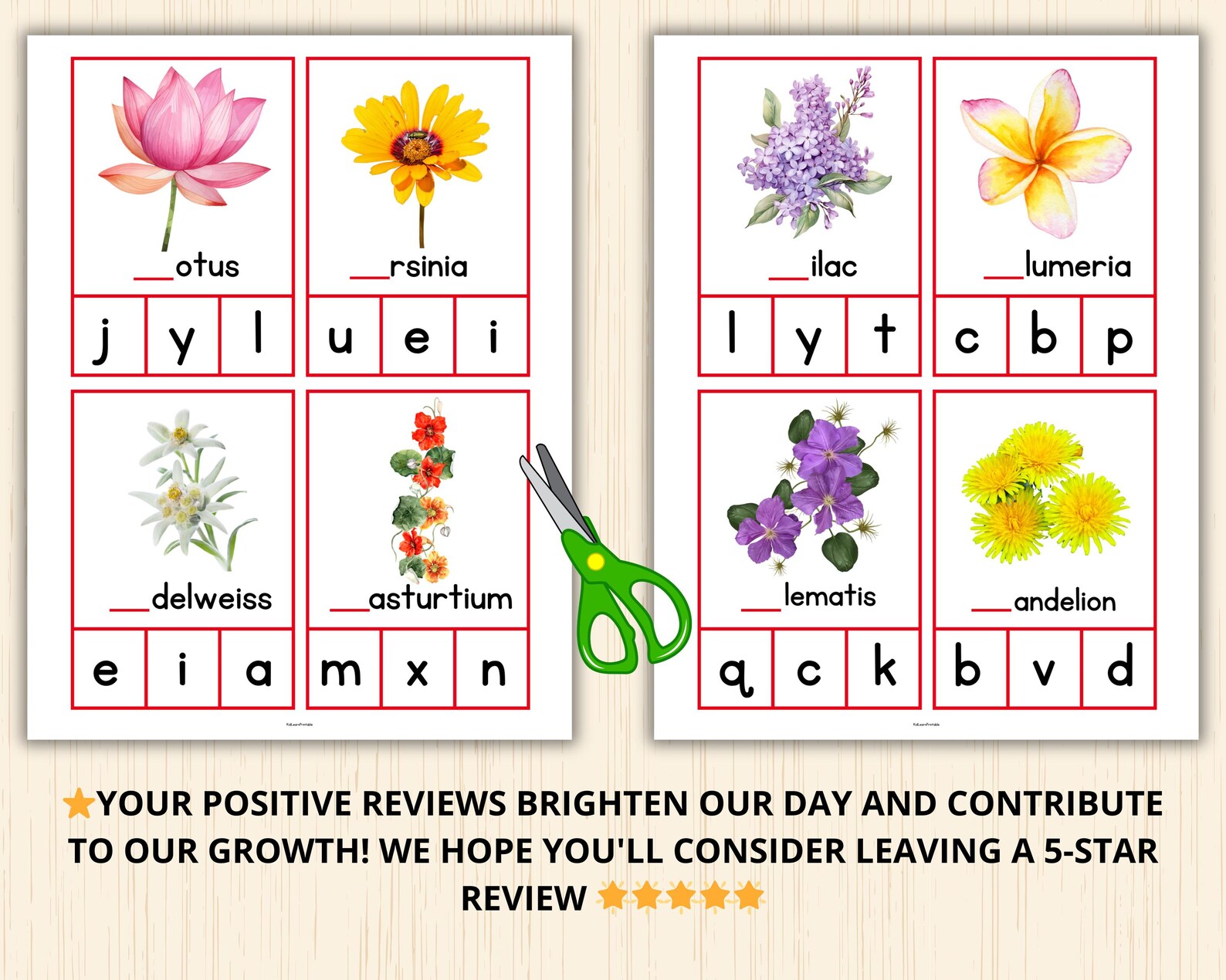 Flowers Beginning Sound,nature Letter Sound,flower Vocabulary,flower ...