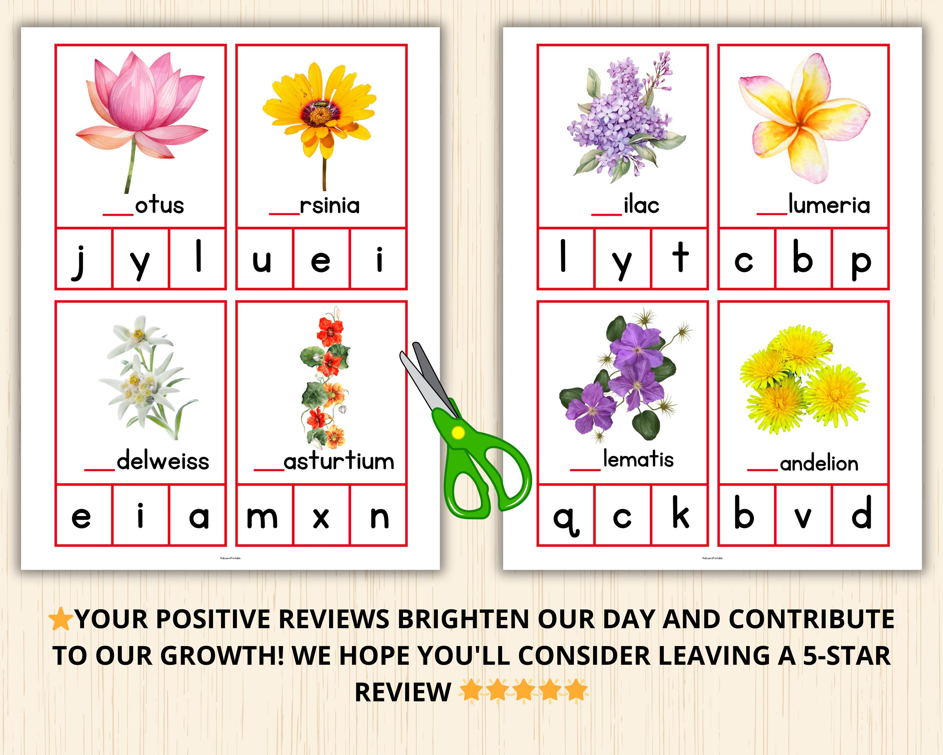 Flowers Beginning Sound,nature Letter Sound,flower Vocabulary,flower ...