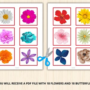 Flower Butterfly Color Matching,color Matching Game,spring Activity ...