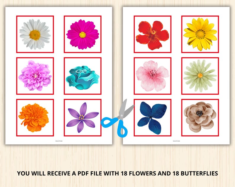 Flower Butterfly Color Matching,color Matching Game,spring Activity ...