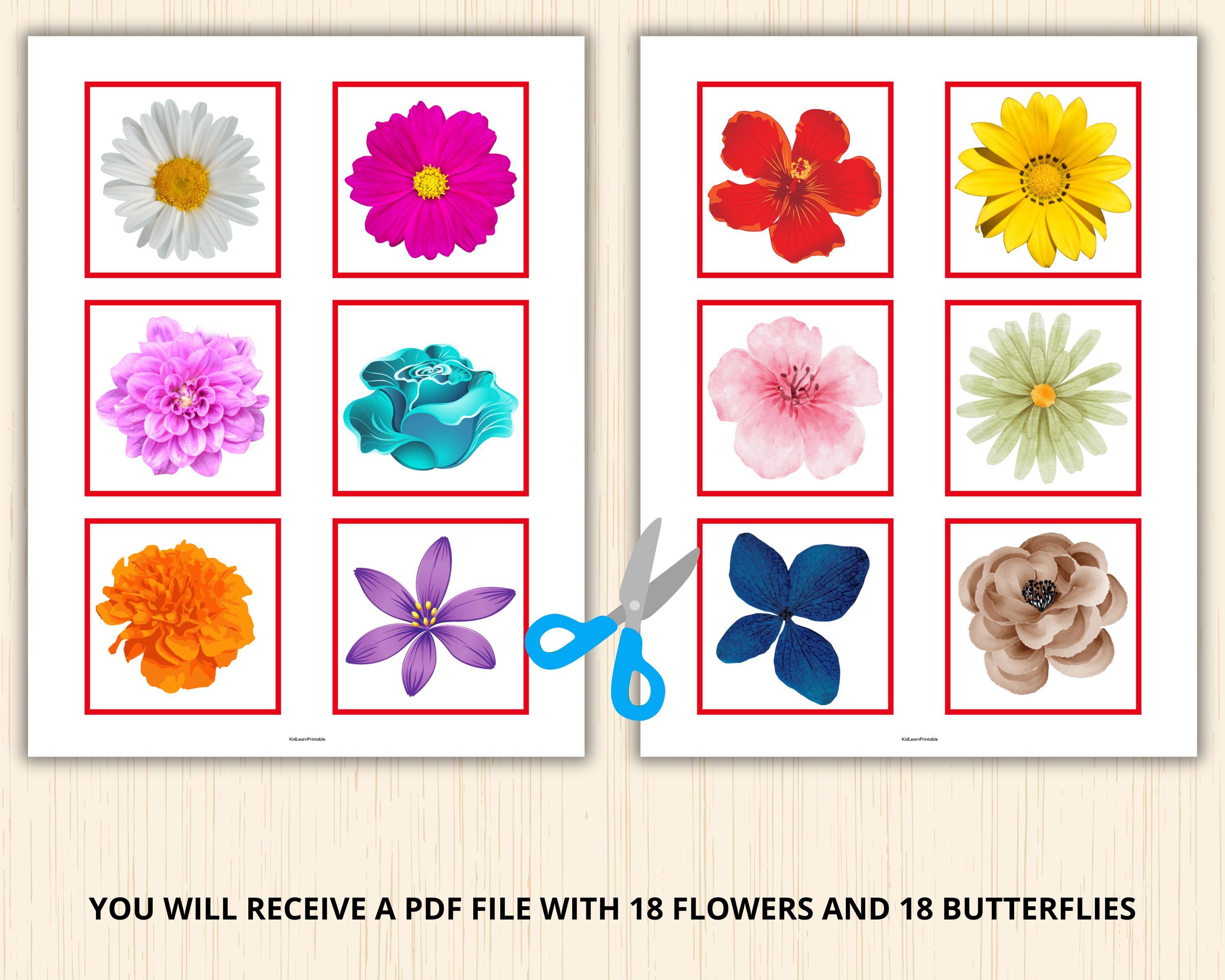 Flower Butterfly Color Matching,color Matching Game,spring Activity ...