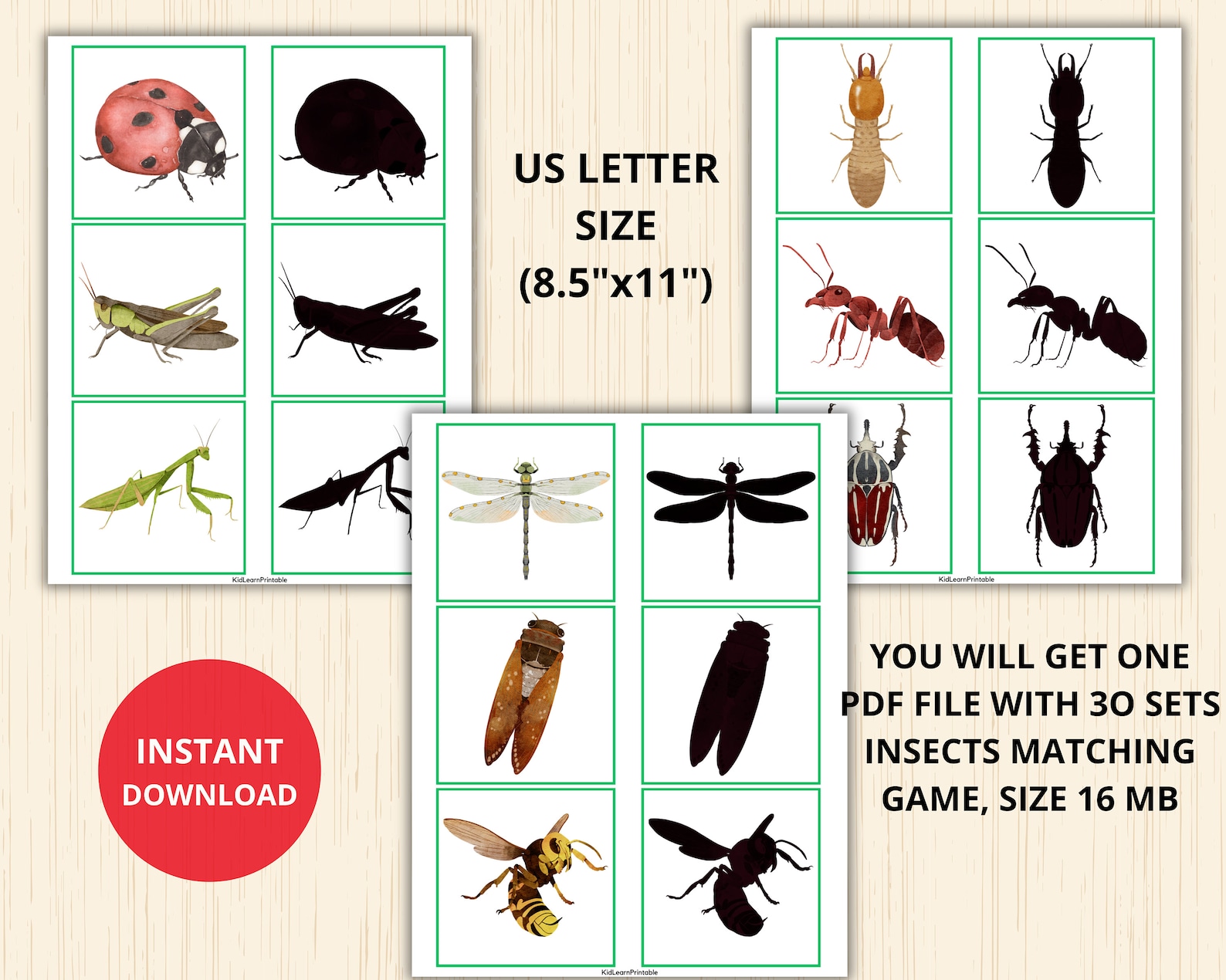 Insect Shadow Matching Cards,bug Shadow Matching, Preschool Insects ...