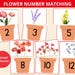 Flower Number Matching,spring Counting Number,spring Preschool Activity ...
