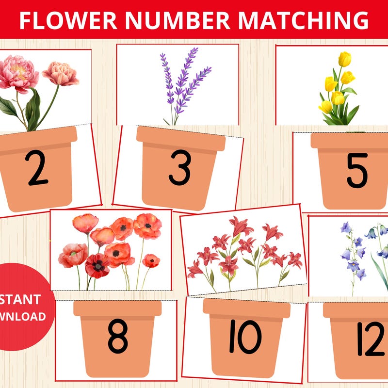 Flower Number - Etsy