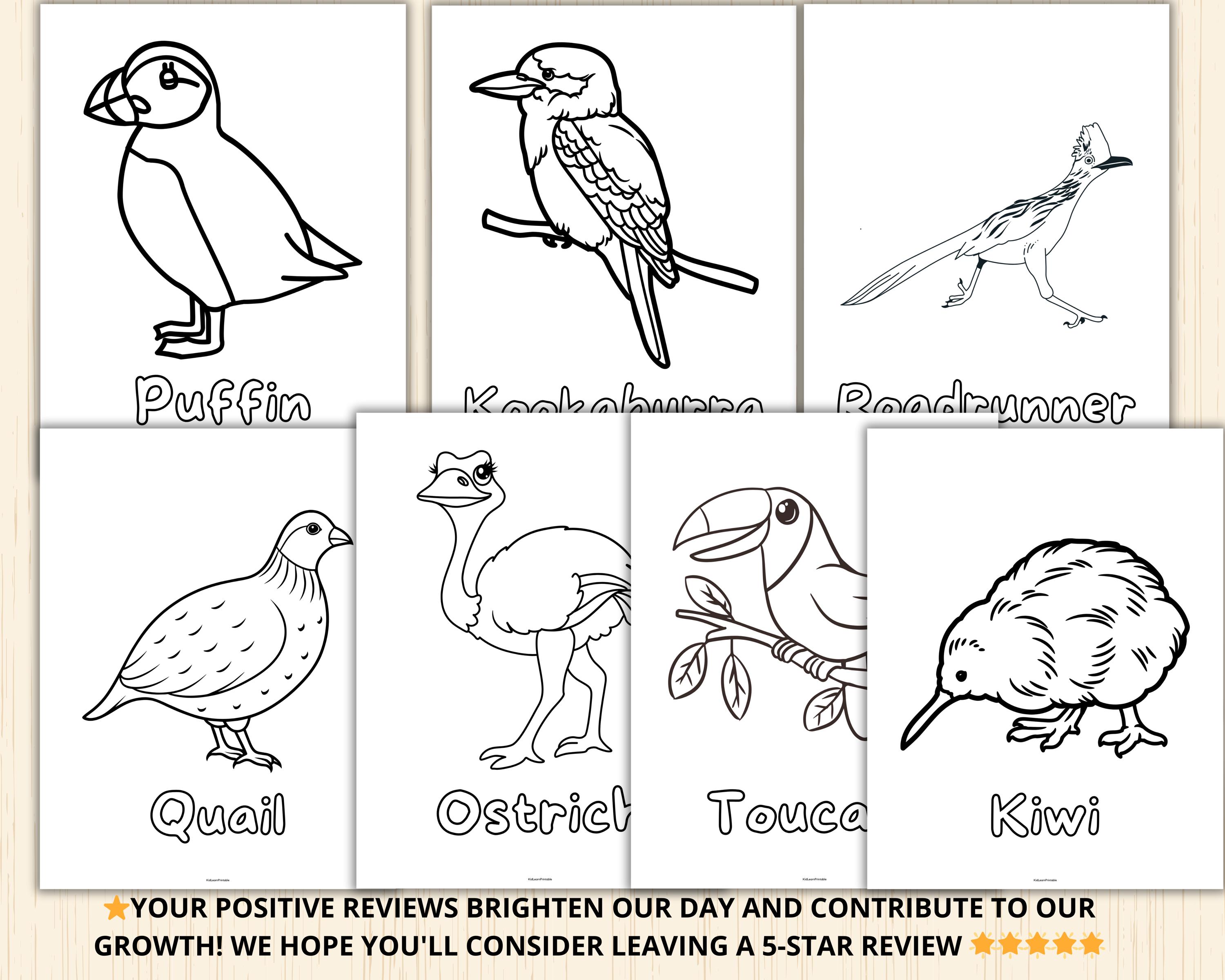 Bird Coloring Pages,bird Coloring Sheets,bird Preschool Activity,bird ...