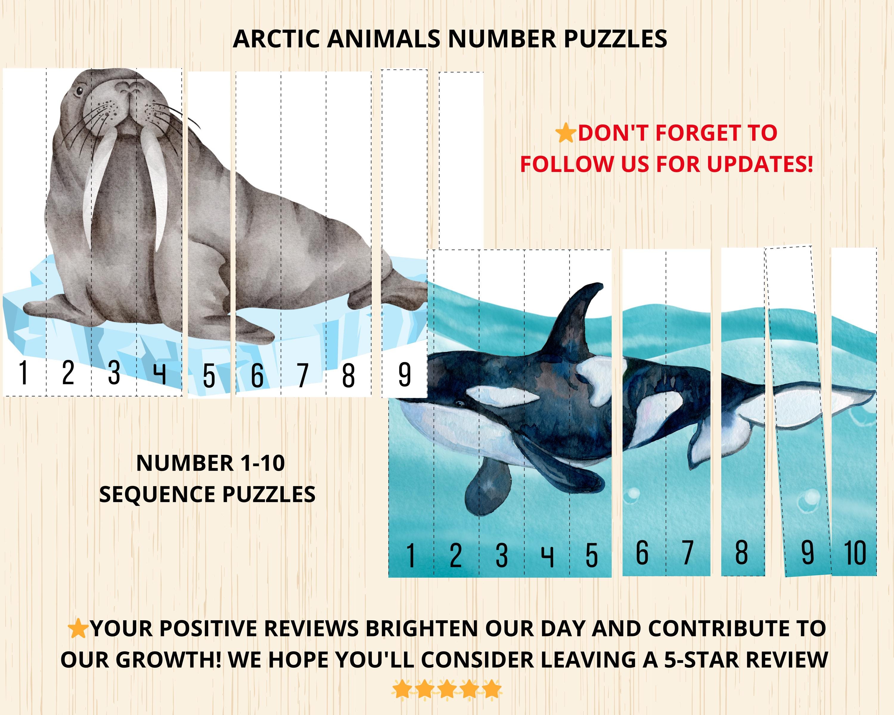 Arctic Animals Puzzle,arctic Animal Halves Matching,winter Puzzle ...