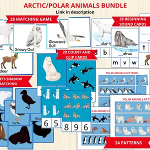 Arctic Animals Puzzle,arctic Animal Halves Matching,winter Puzzle ...