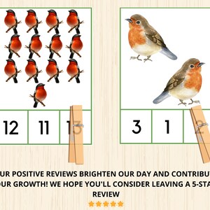 Birds Count and Clip Cards,numbers 1-20, Birds Flashcards,bird Activity ...