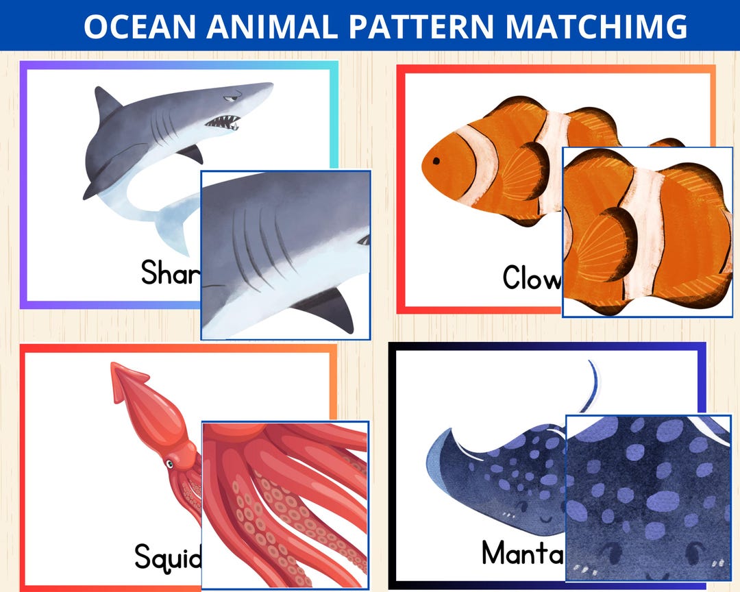 Ocean Animal Pattern Match Activity,ocean Animal Activity for Toddlers ...