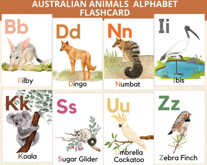 ABC Alphabet Flashcards Learning Letter Native Australian Animals Play ...