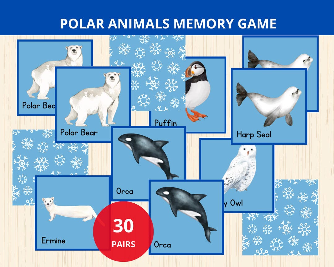 Polar Animal Memory Game,arctic Animals Matching Cards,winter Preschool ...