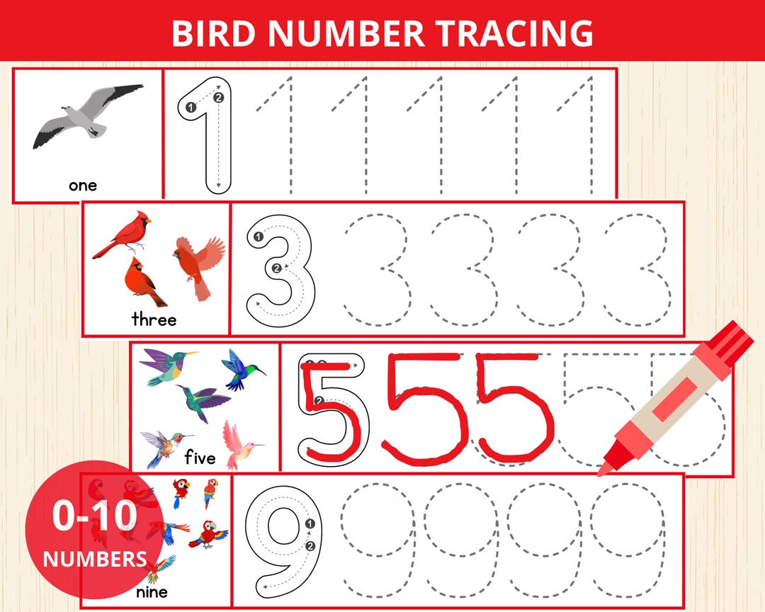 Bird Number Tracing ,traceable Numbers,preschool Worksheets,number ...