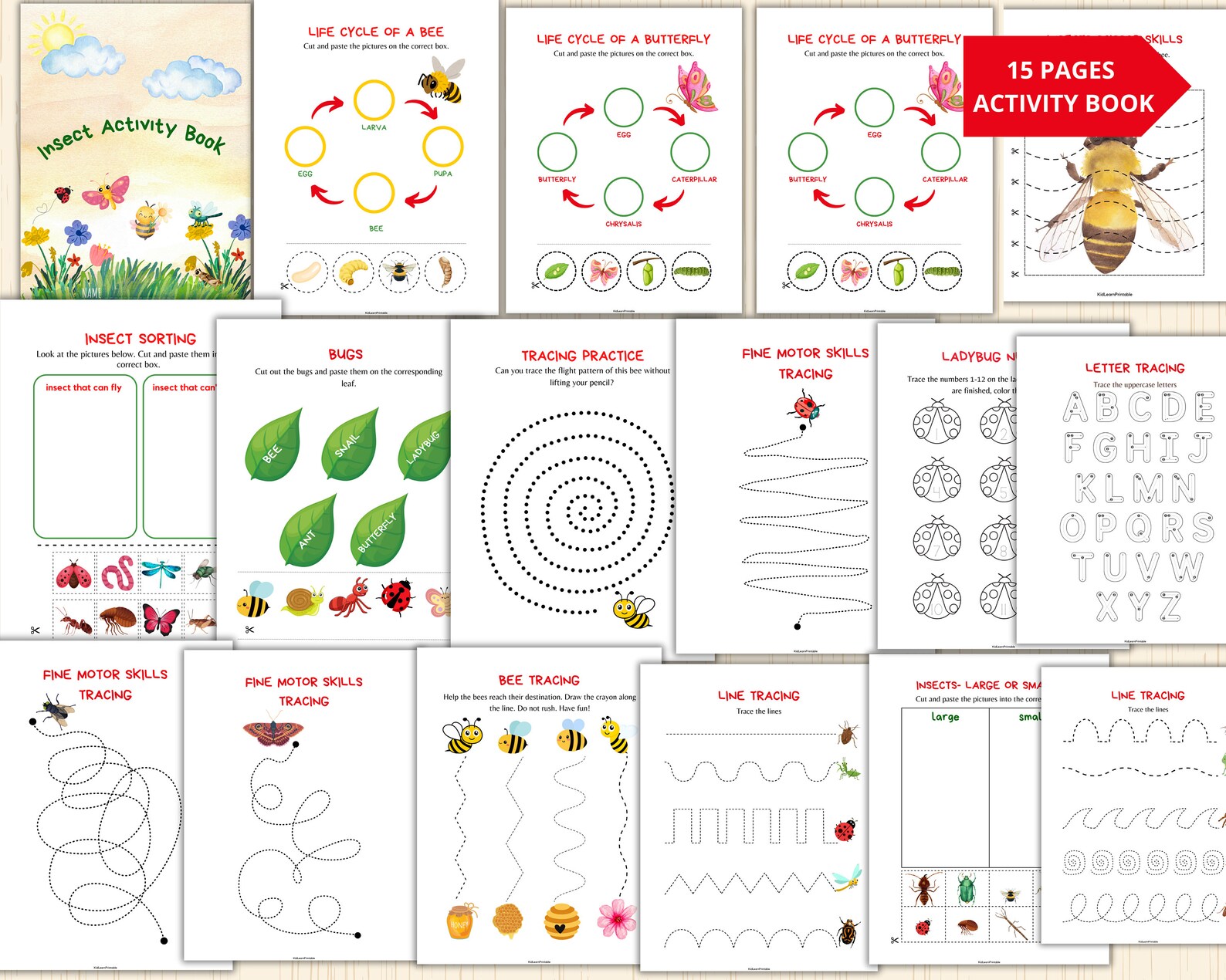 Insect Unit Study,preschool Curriculum,insect Bundle,insect Montessori ...