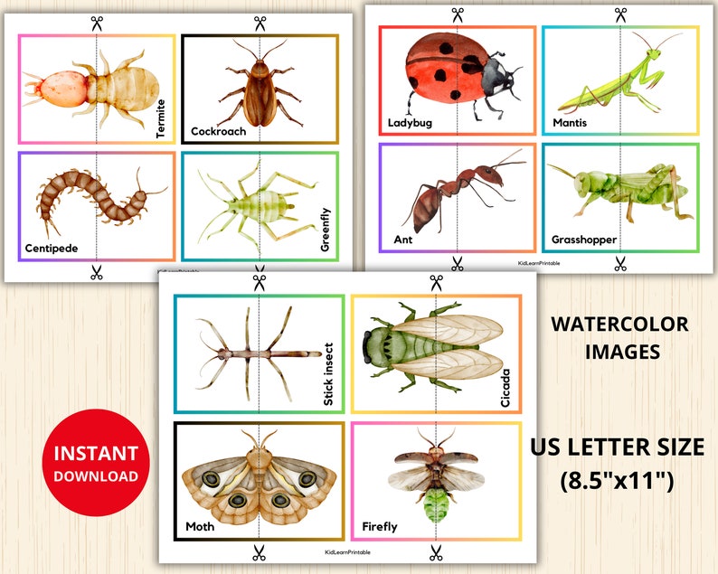 Insect Matching Activity, Insect Puzzles, Insect Symmetry, Bug Matching ...