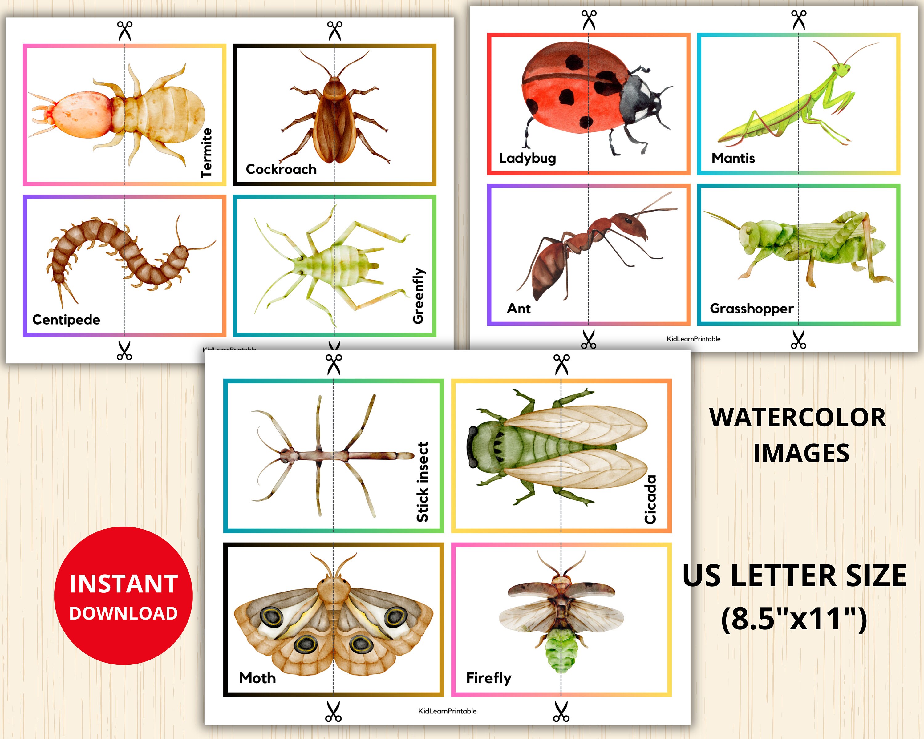 Insect Matching Activity, Insect Puzzles, Insect Symmetry, Bug Matching ...