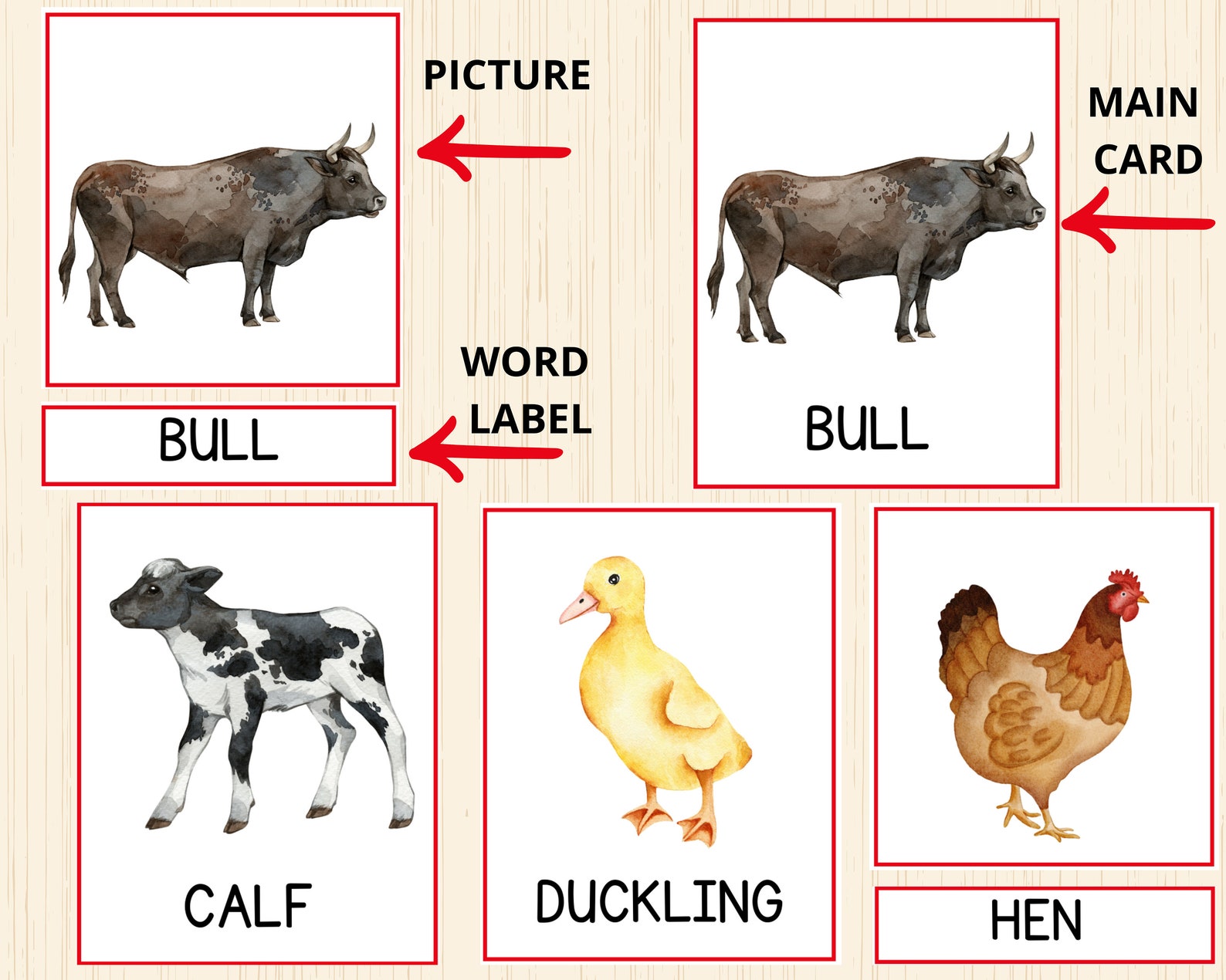 Farm Animals Montessori 3 Part Cards, Montessori Flash Cards, Farm ...