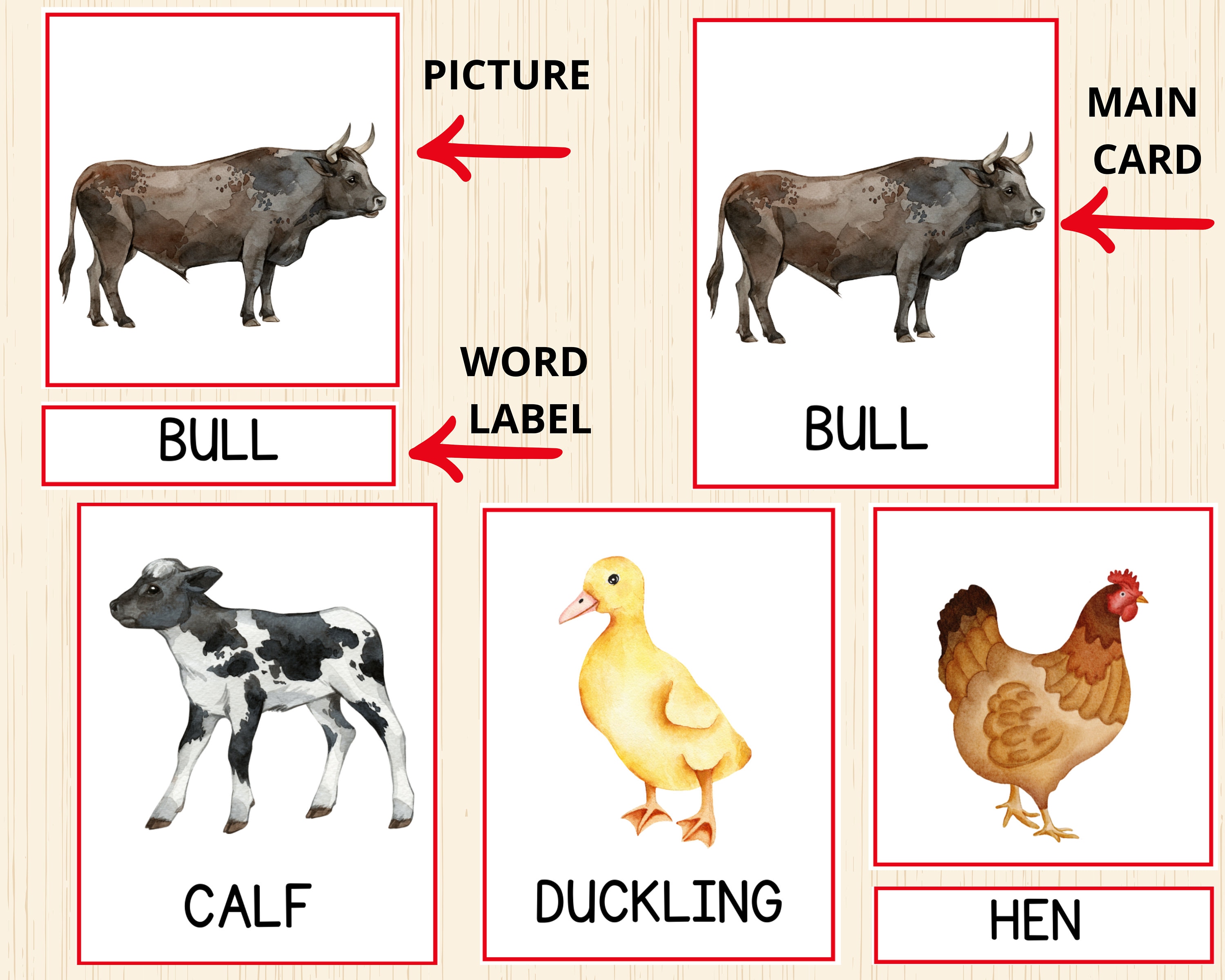 Farm Animals Montessori 3 Part Cards, Montessori Flash Cards, Farm ...