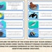 Ocean Animals Word Tracing,sea Animals Words Tracing,summer Montessori ...