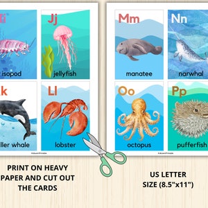 Ocean Alphabet Cards,ocean Animal Flash Cards,montessori,world Ocean ...