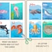 Ocean Alphabet Cards,ocean Animal Flash Cards,montessori,world Ocean ...