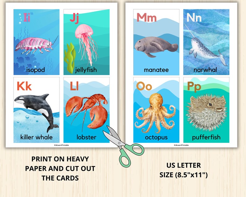 Ocean Alphabet Cards,ocean Animal Flash Cards,montessori,world Ocean ...
