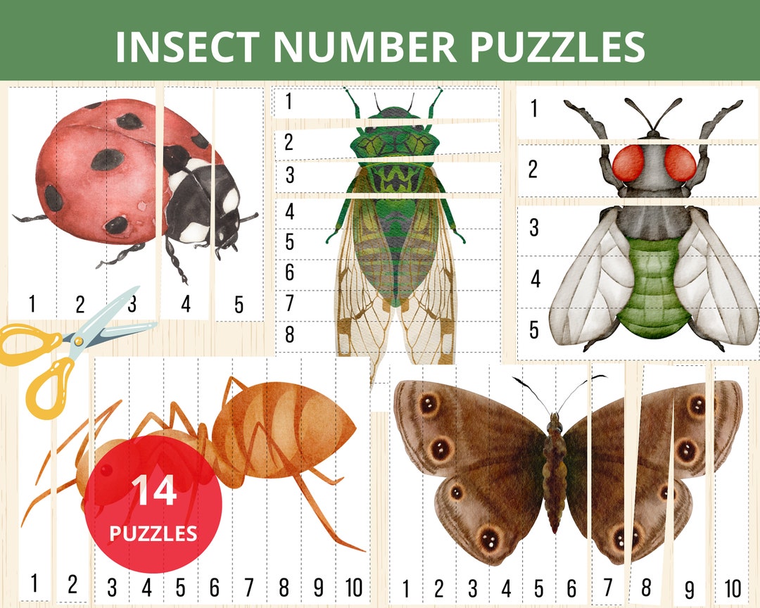 Insect Preschool,insect Puzzles,number Sequence Puzzles,numbers 1-10 ...