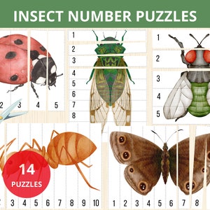 Insect Preschool,insect Number Puzzles,number Sequence,numbers 1-10 ...