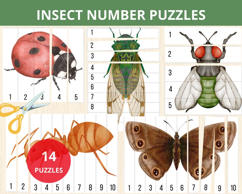 Insect Preschool,insect Number Puzzles,number Sequence,numbers 1-10 ...