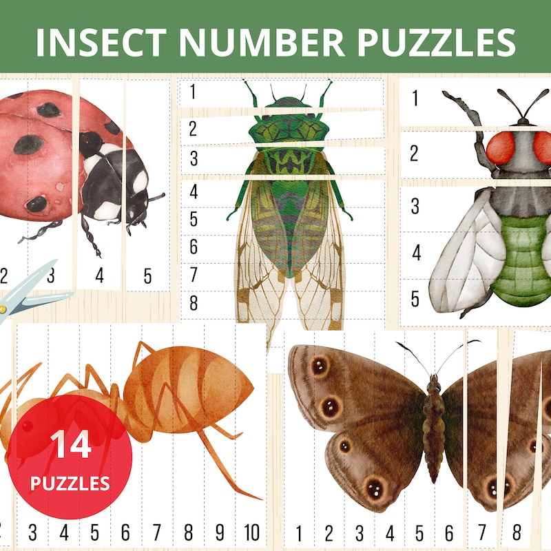 Wooden Bug Puzzles - Etsy