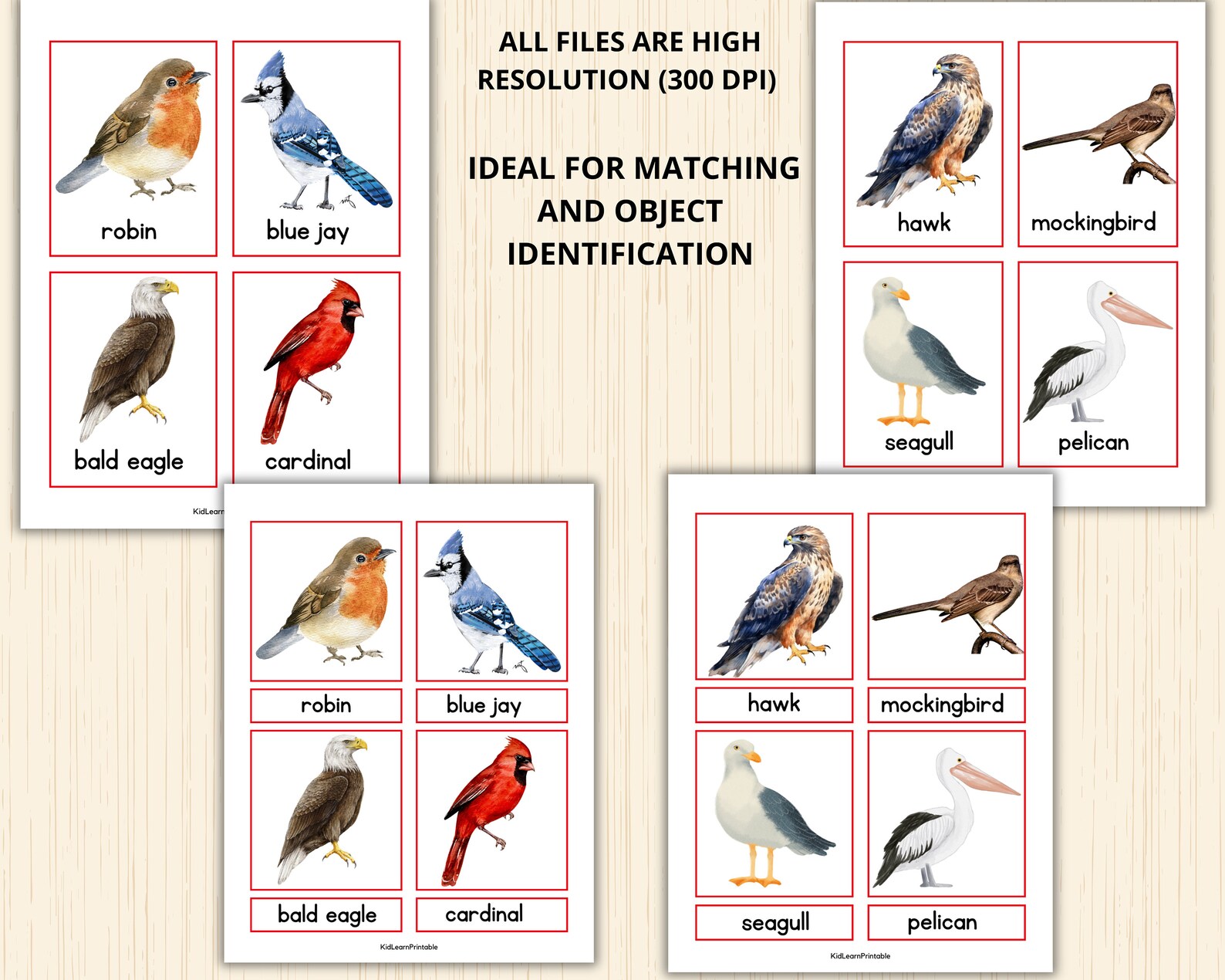 Birds Montessori Printable 3 Part Cards,us Bird Flashcards,spring ...