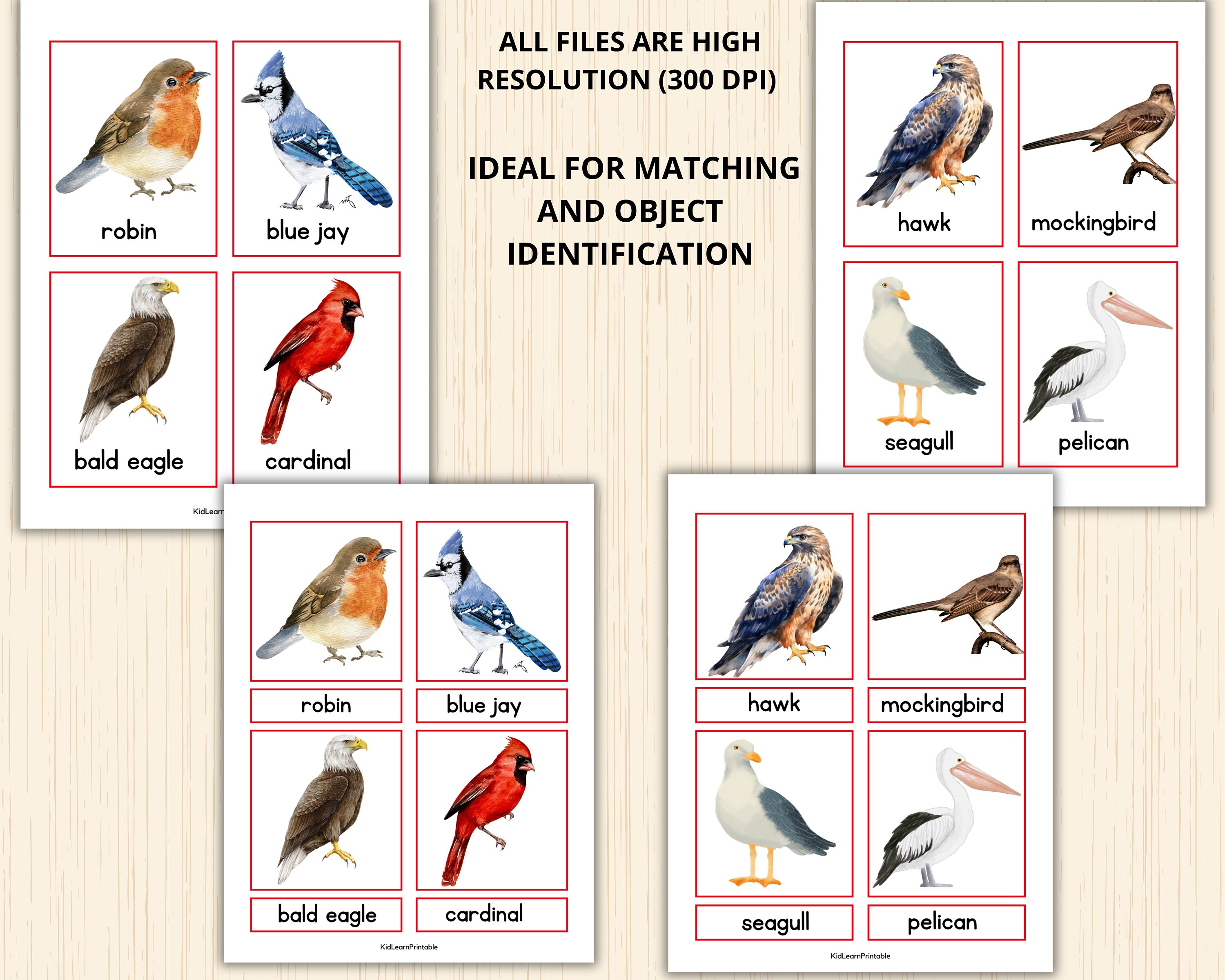 Birds Montessori Printable 3 Part Cards,us Bird Flashcards,spring ...