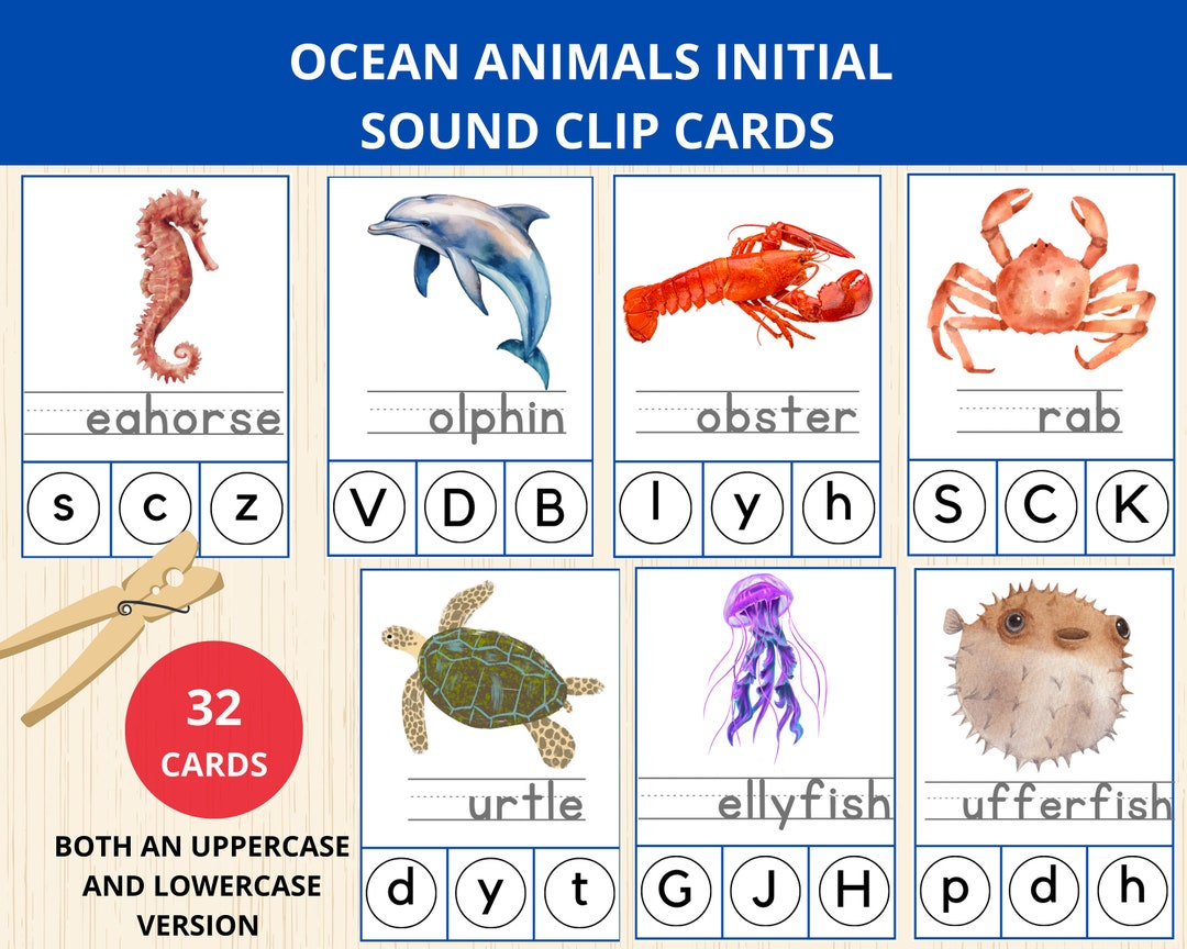 Ocean Animal Phonics Clip Cards, Beginning Sound Activity, Sea Animals ...