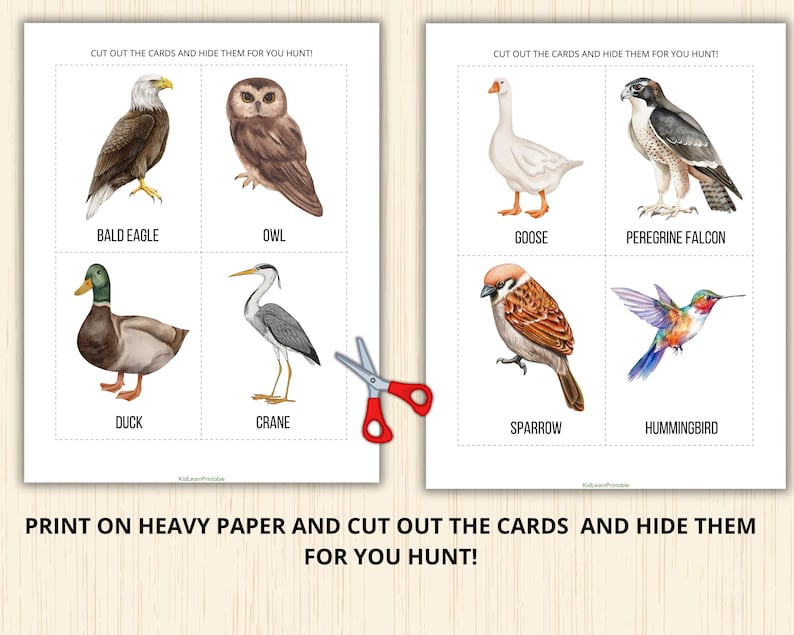 Birds Scavenger Hunt,nature Scavenger Hunt,nature Activity,bird ...