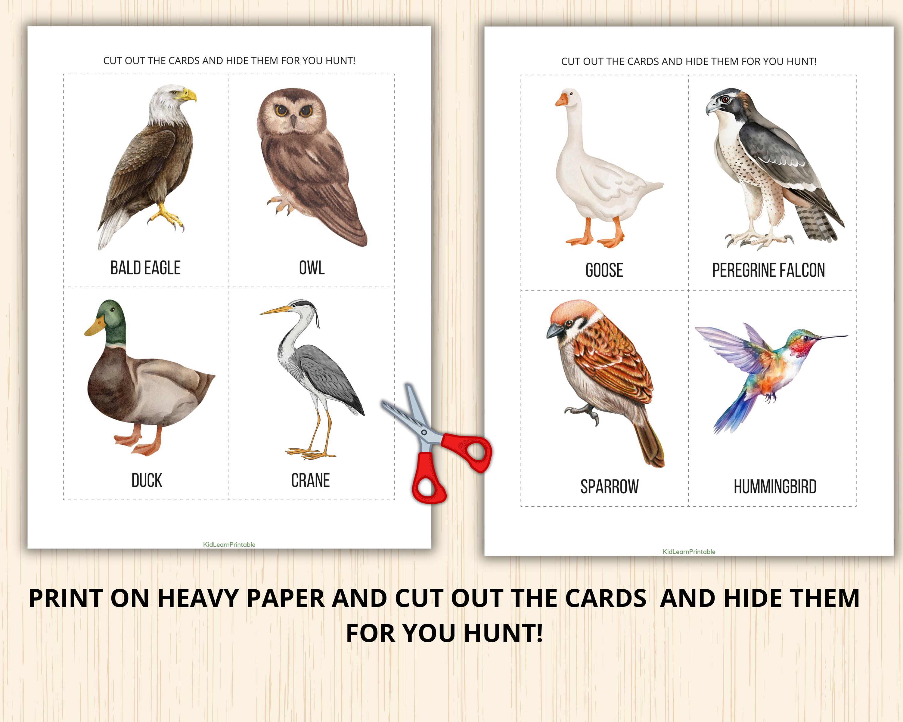 Birds Scavenger Hunt,nature Scavenger Hunt,nature Activity,bird ...