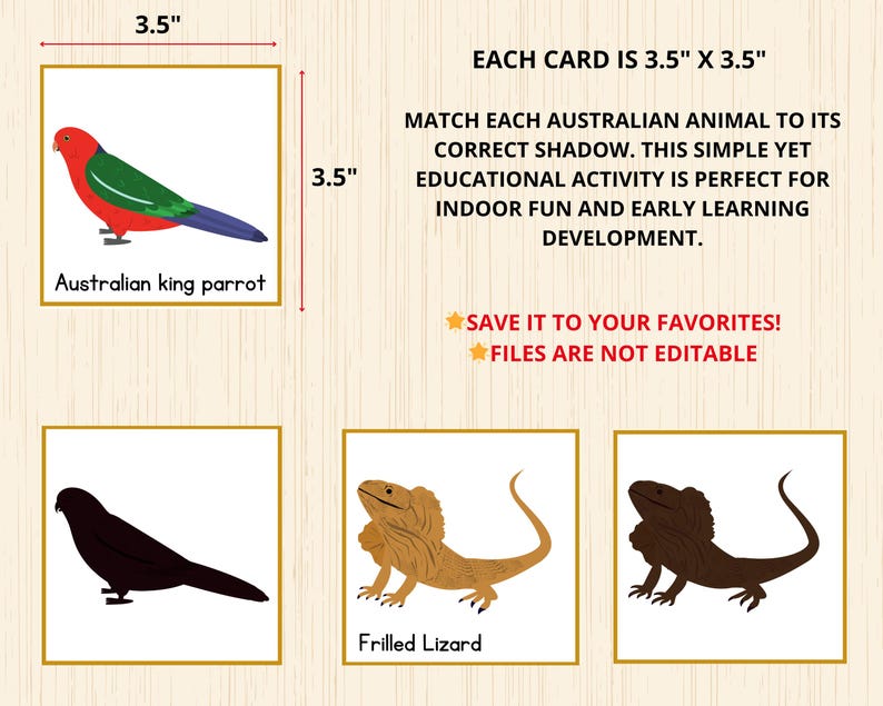 Australian Animals Shadow Matching Cards,australia Animal Flashcard ...