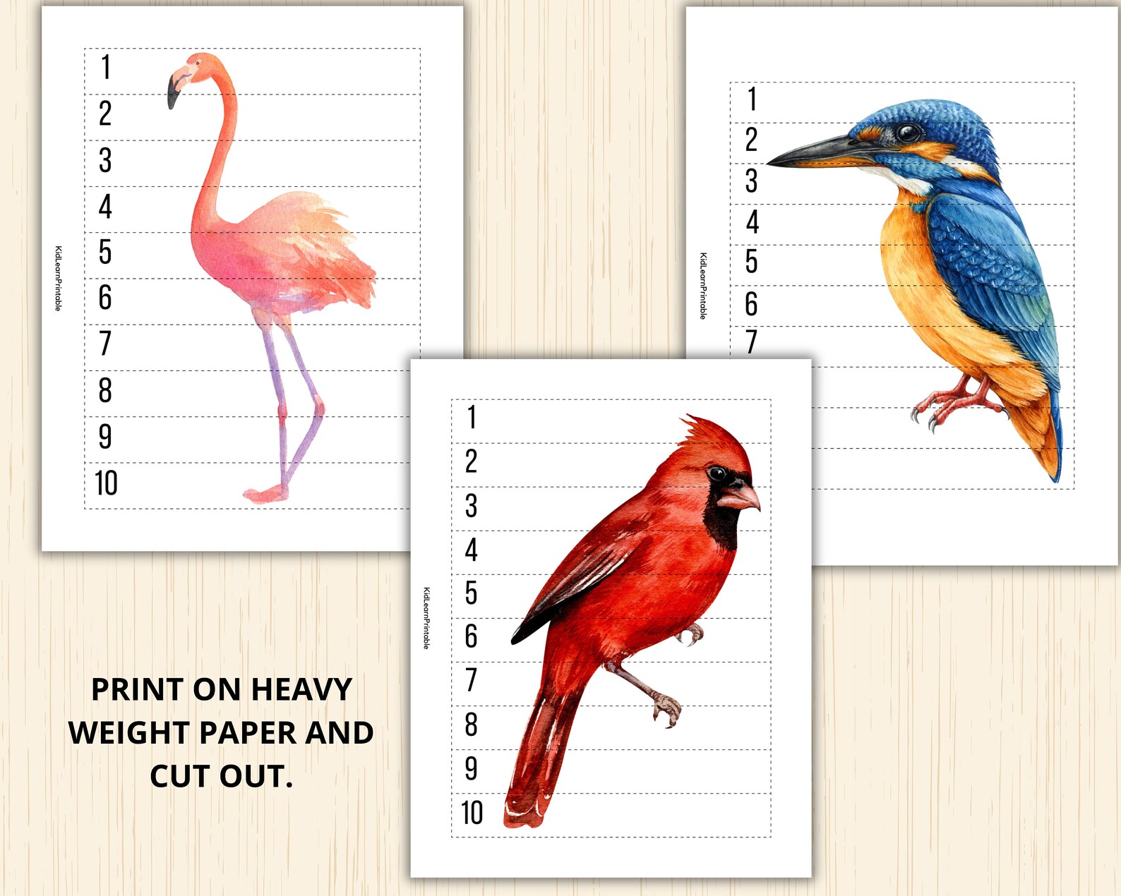 Birds Puzzle, Birds Number Sequence Puzzle,montessori Spring Math ...