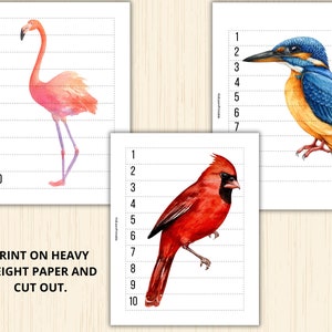 Birds Puzzle, Birds Number Sequence Puzzle,montessori Spring Math ...