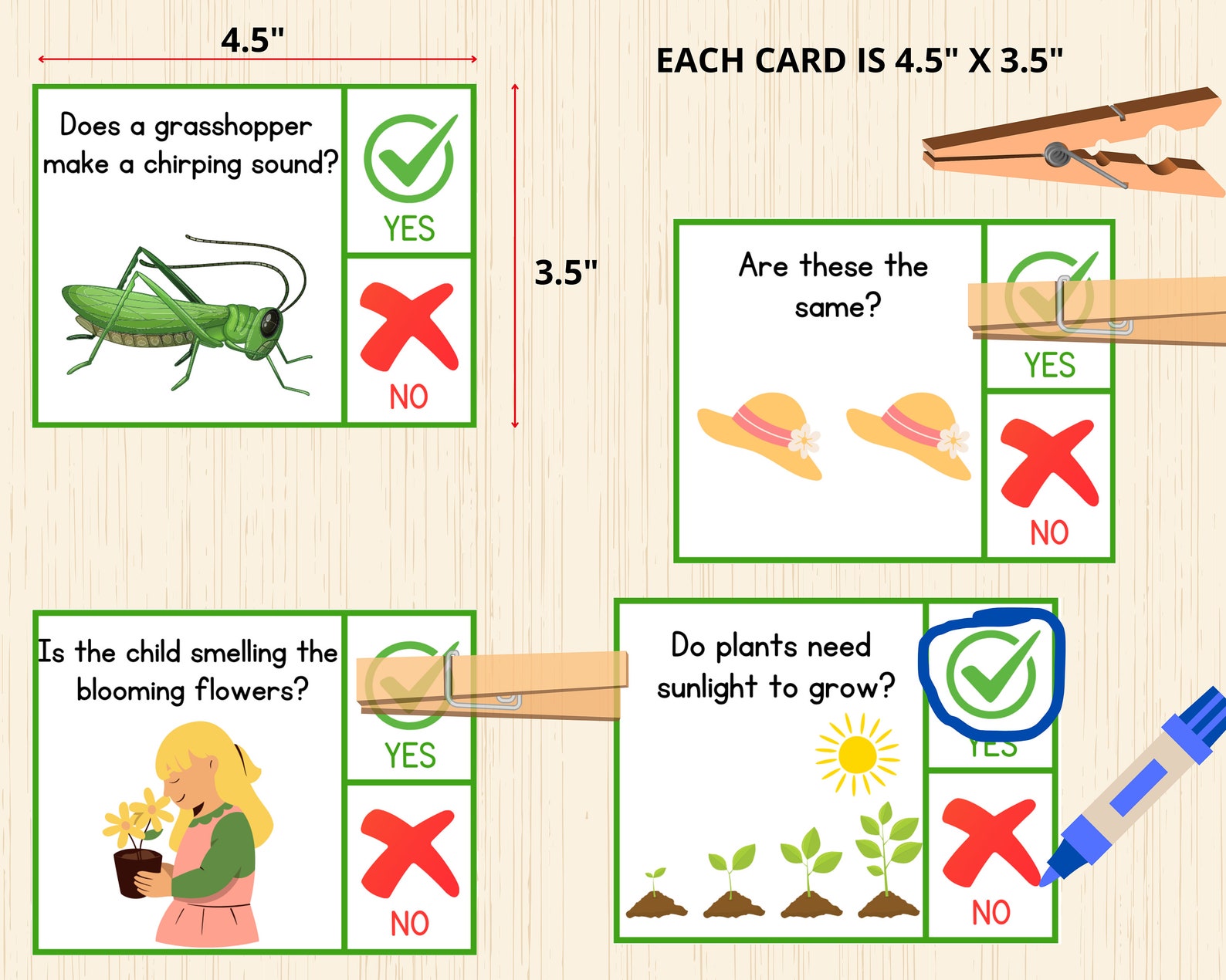 Spring Question Card,yes or No Question,spring Activities,spring Task ...