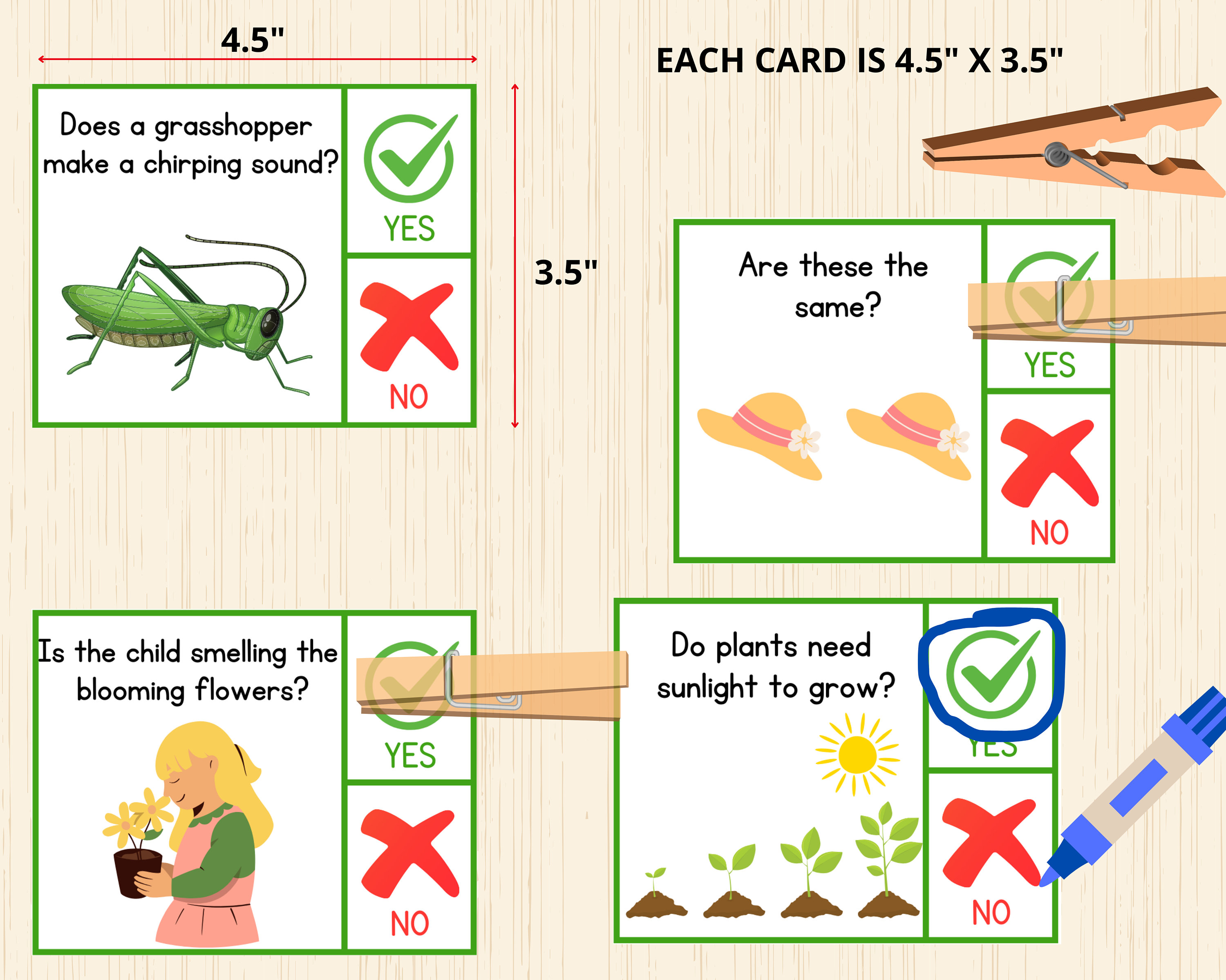Spring Question Card,yes or No Question,spring Activities,spring Task ...