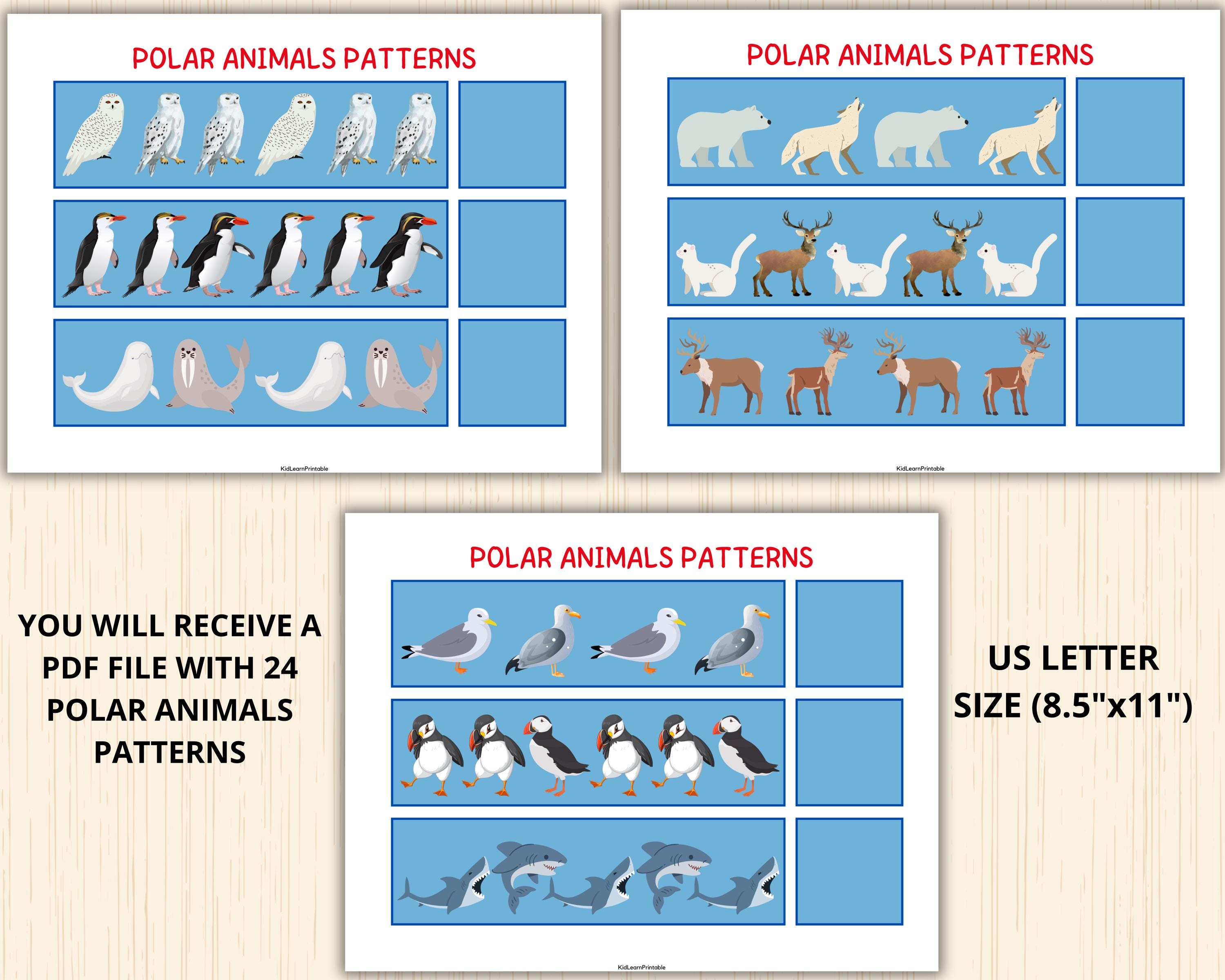 Polar Animals Patterns,ab AAB Patterns,what Comes Next,pattern Activity ...