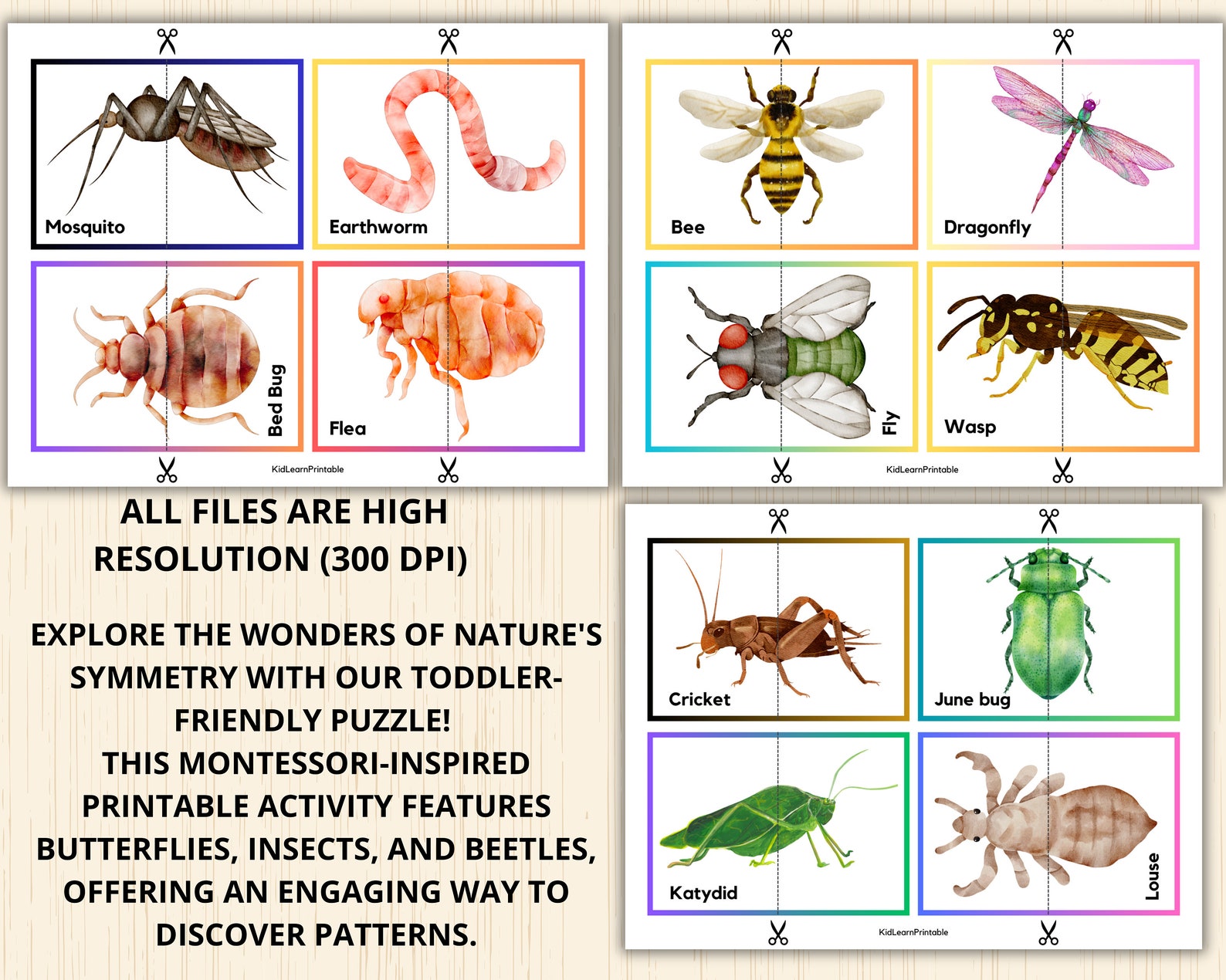 Insect Matching Activity, Insect Puzzles, Insect Symmetry, Bug Matching ...
