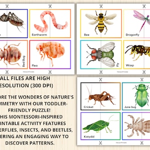 Insect Matching Activity, Insect Puzzles, Insect Symmetry, Bug Matching ...