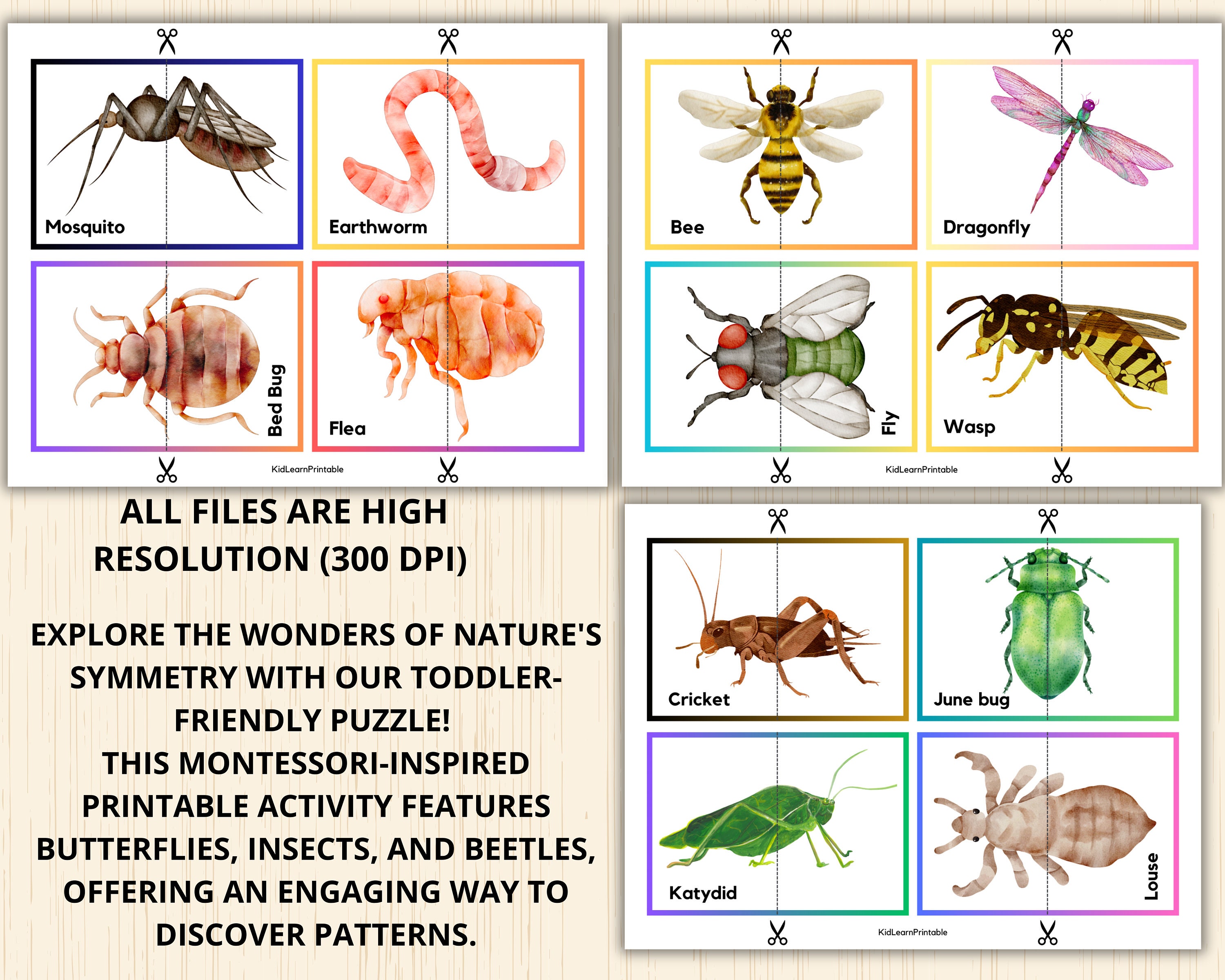 Insect Matching Activity, Insect Puzzles, Insect Symmetry, Bug Matching ...