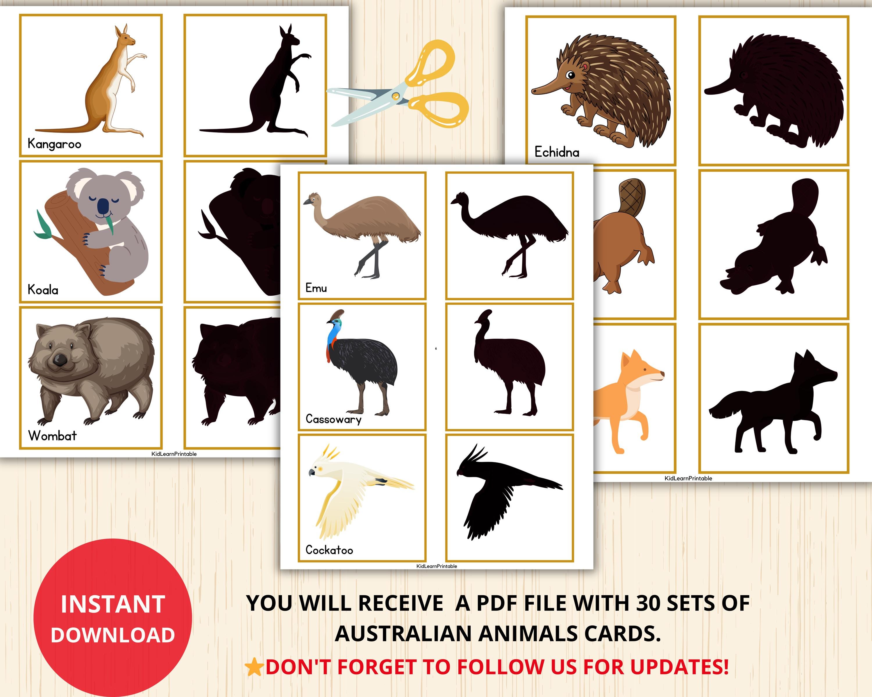 Australian Animals Shadow Matching Cards,australia Animal Flashcard ...
