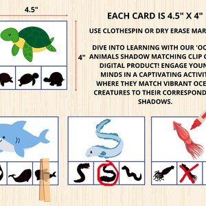 Ocean Animals Shadow Clip Cards,silhouette Matching,summer Matching ...