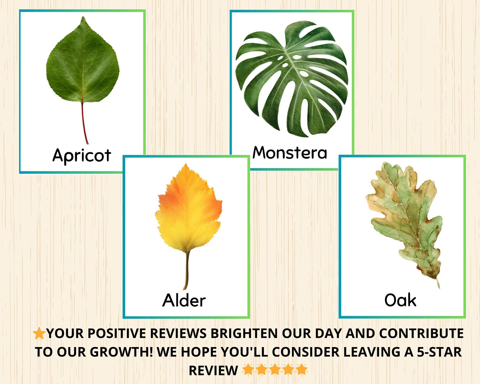 Autumn Leaves Flashcards,fall Montessori,homeschooling,leaf ...