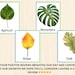 Autumn Leaves Flashcards,fall Montessori,homeschooling,leaf ...